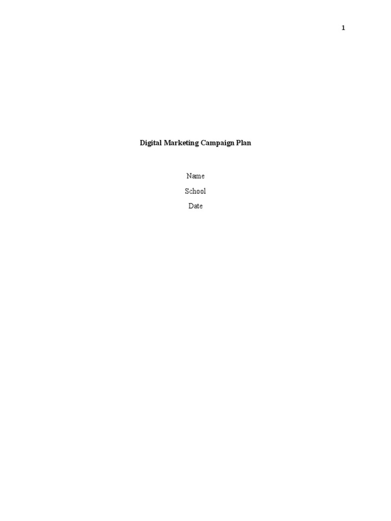 Digital Marketing Campaign Plan Pdf 