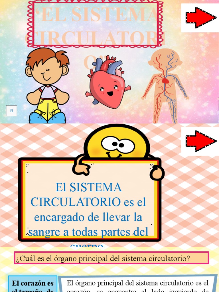 Sistema Circulatorio | PDF