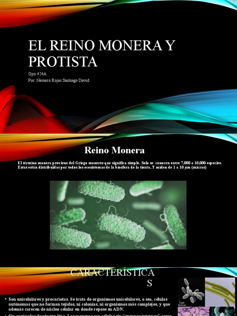 El reino monera y protista, cambi de tema.pptx | PDF