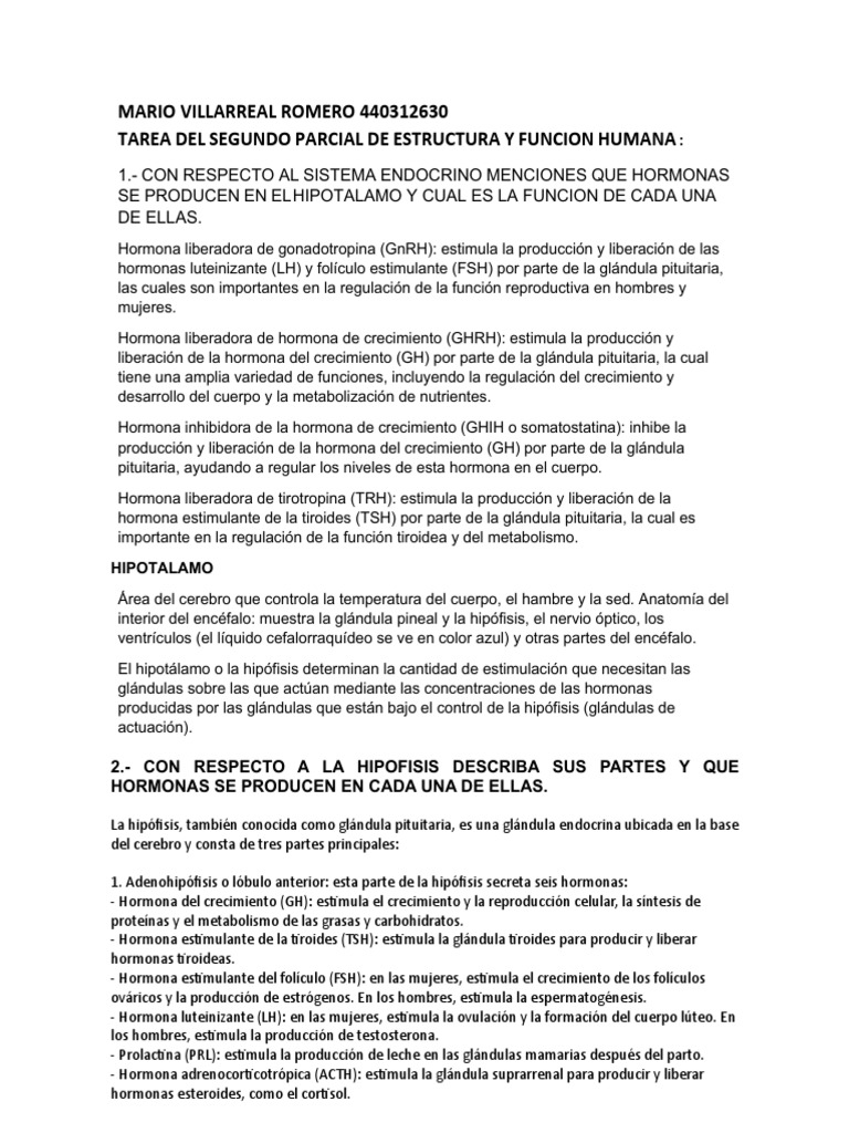 Parcial 2do MVR PDF | PDF