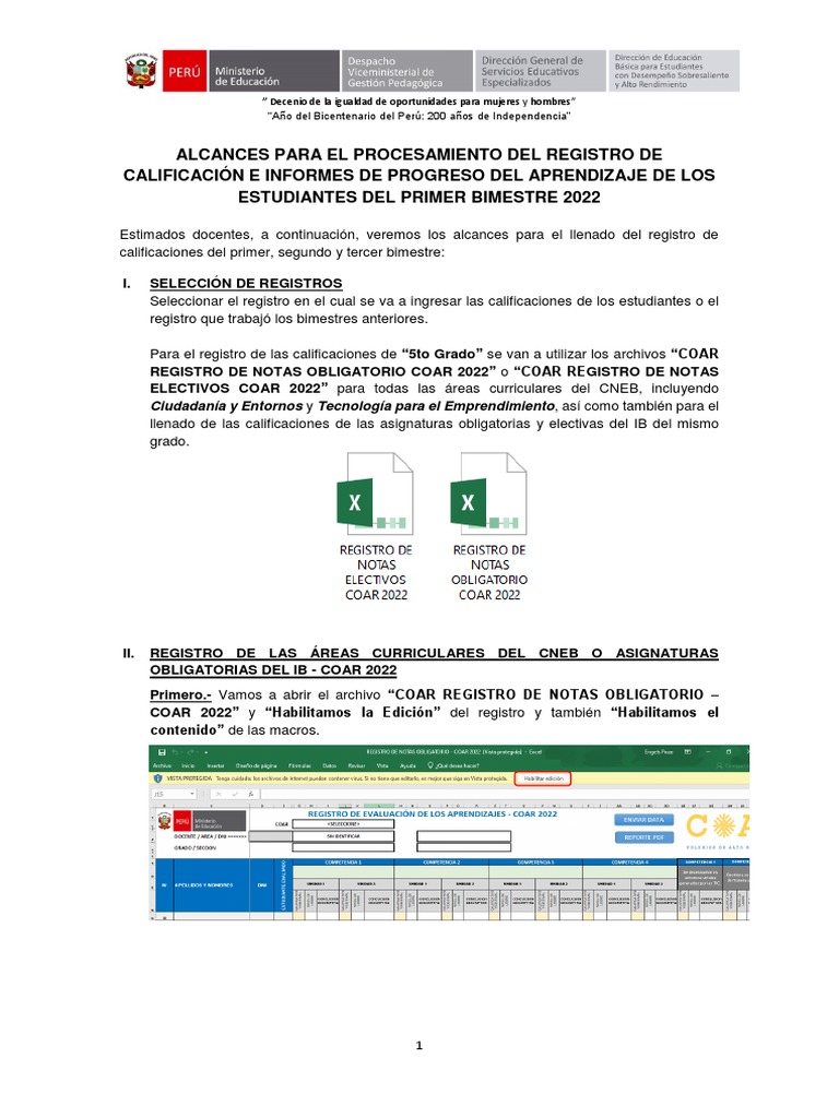 Alcances Procesamiento de Registro de Calificación e Informes de Progreso Del Aprendizaje Del ...