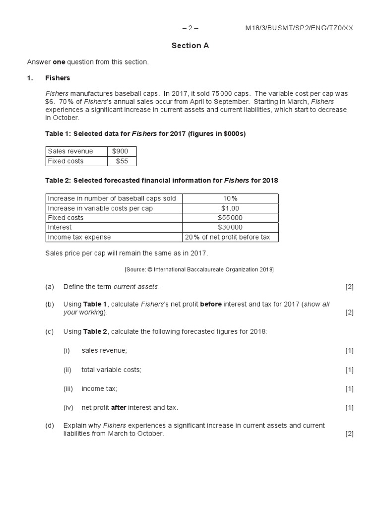 Balance Sheet & Y Statement 18 PDF | PDF | Balance Sheet | Net Income