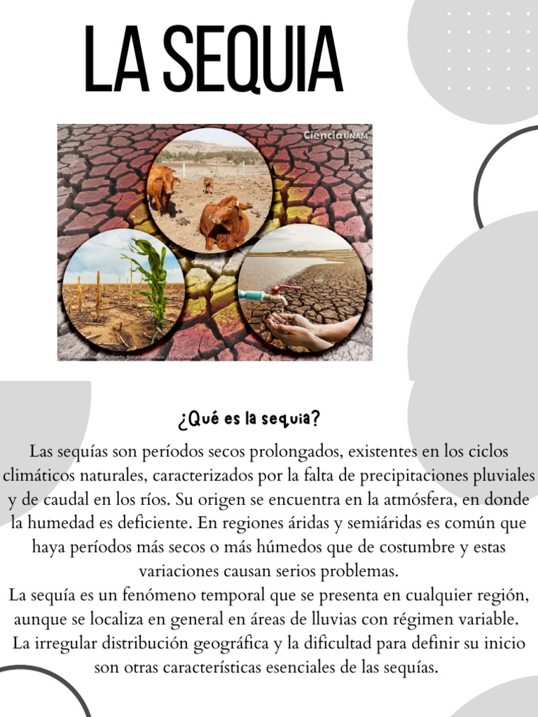 Sequia XD | PDF