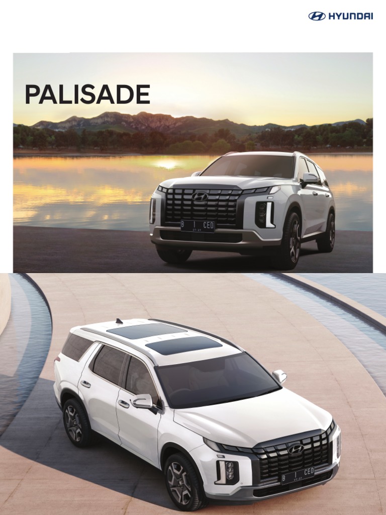 Brochure Palisade 032023 PDF | PDF