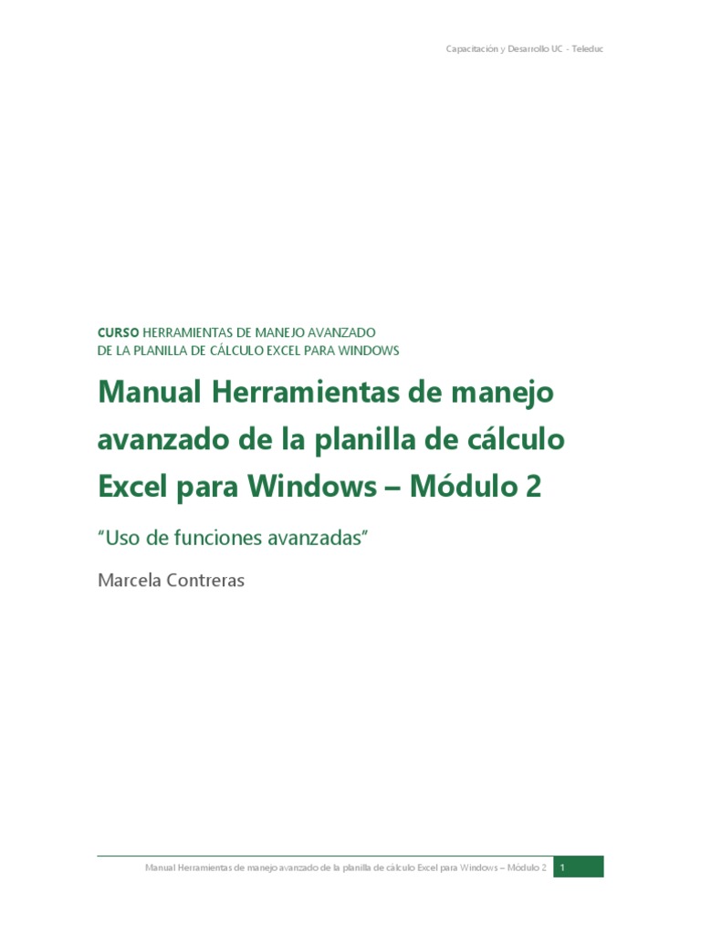 Módulo 2 - Manual Excel Avanzado PDF | PDF