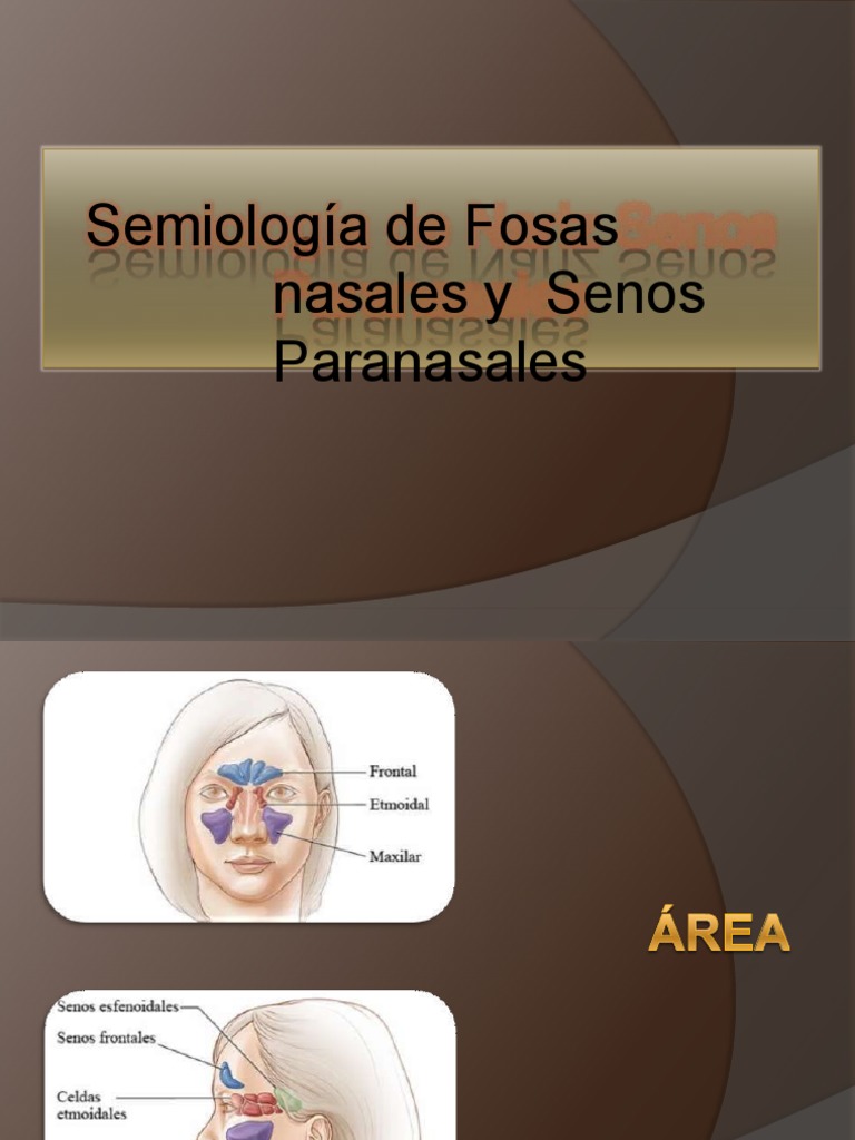 semio de fosas y senos paranasales.pptx | PDF