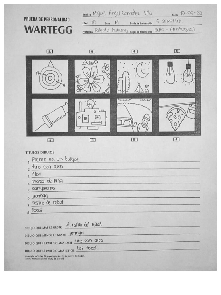 TEST DE WARTEGG | PDF