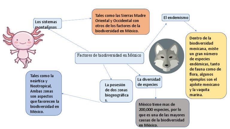 Mapa Conceptual Sobre Los Factores de Biodiversidad de México | PDF