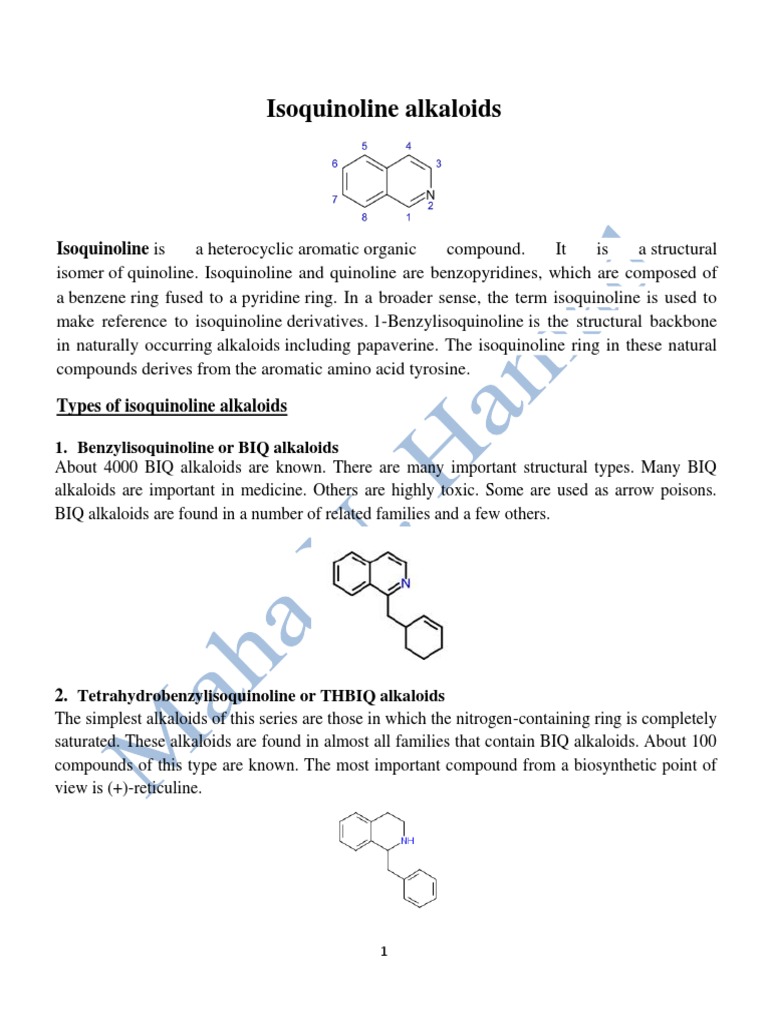 Isoquinoline -lec6.pdf | PDF