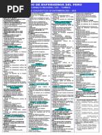 Formato Del Plan de Atención de PES | PDF | Diagnostico medico | Enfermería