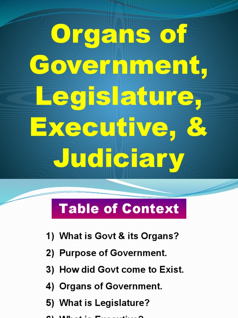 Organs of Government | PDF