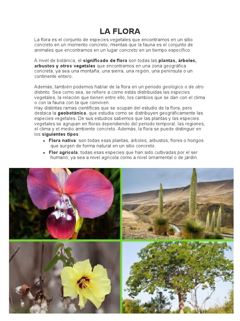 Definición y tipos de flora y fauna | PDF | Fauna | Flora
