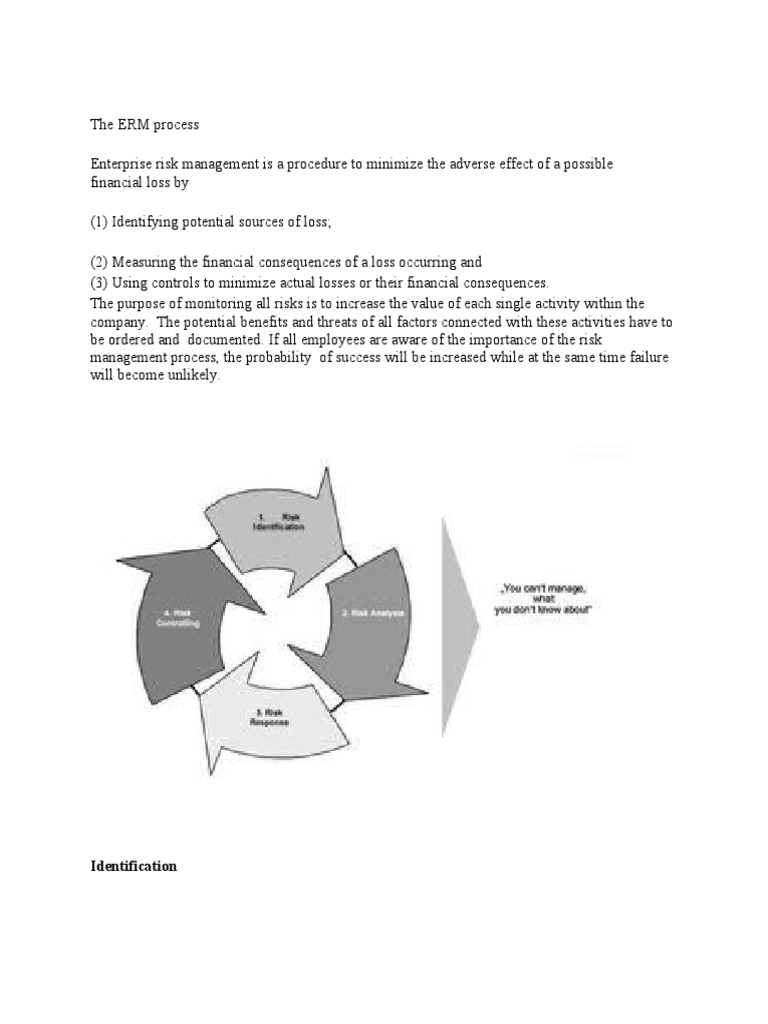 The ERM Process | PDF