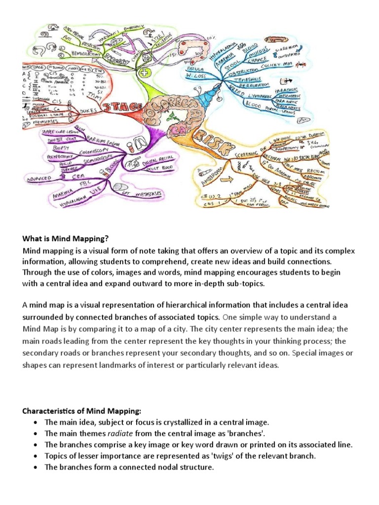 Visual Guide to Mind Mapping | PDF | Cognitive Science | Neuroscience