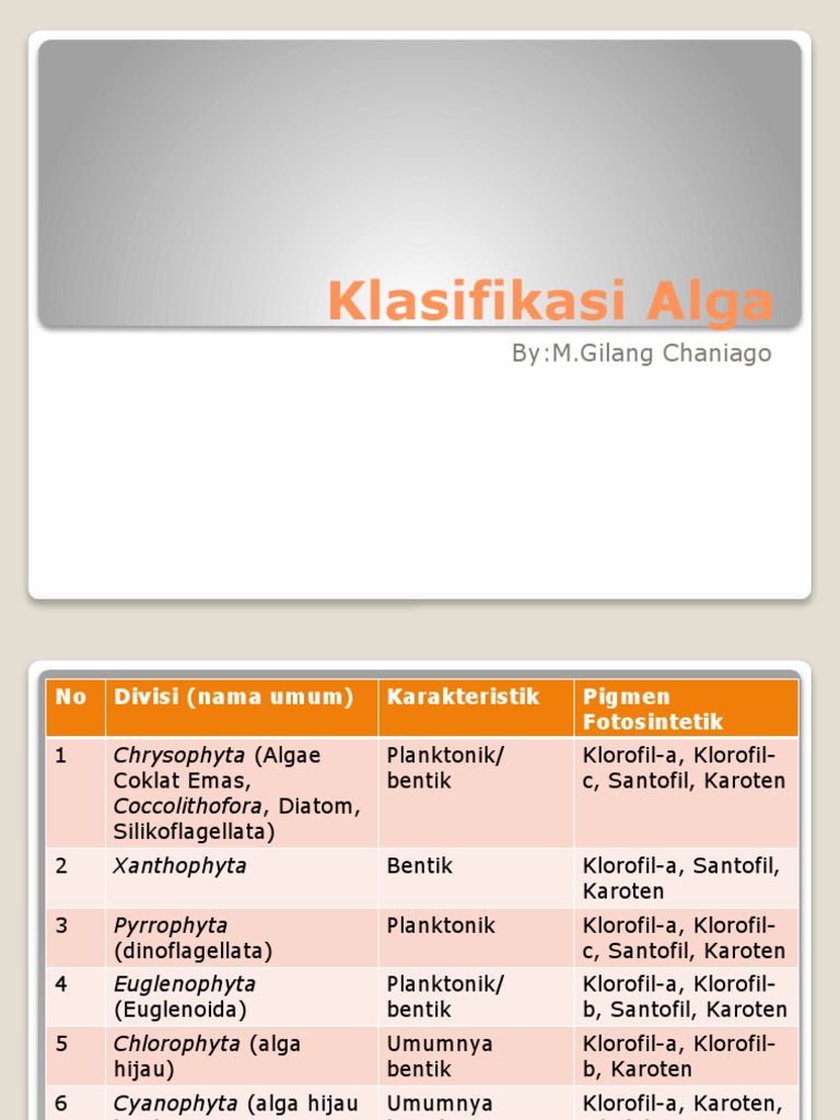 Klasifikasi Alga | PDF