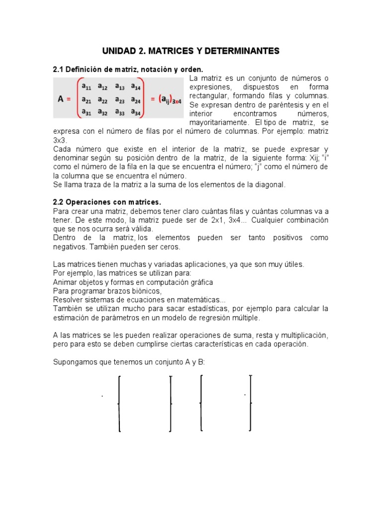 Matrices y Determinantes | PDF | Matriz (Matemáticas) | Determinante