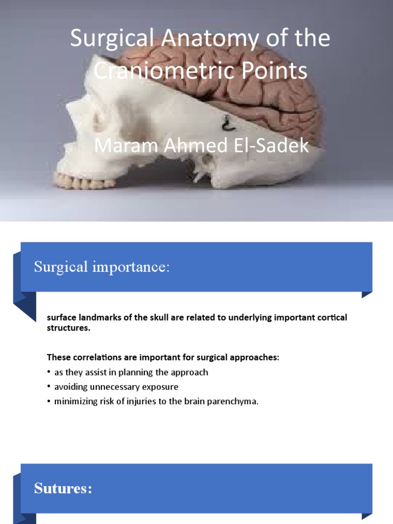Craniometric 1 | PDF