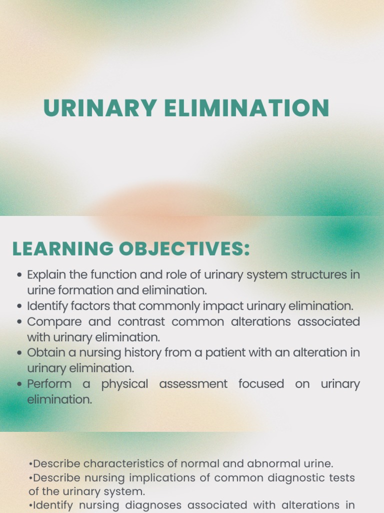 Urinary Elimination Guide for Nurses | PDF | Urinary Incontinence ...