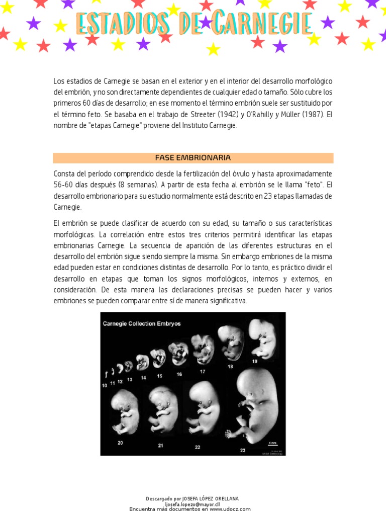 Estadios de Carnegie 252240 Downloable 2969259 | PDF
