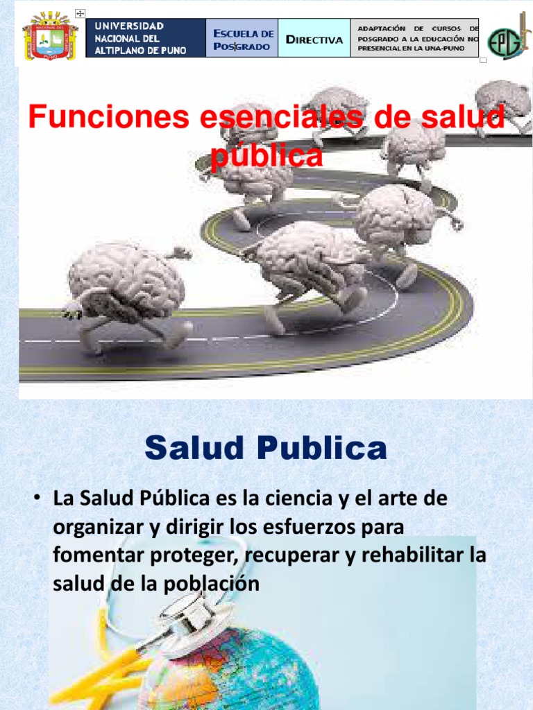Funciones Esenciales de La Salud Publica PDF | PDF