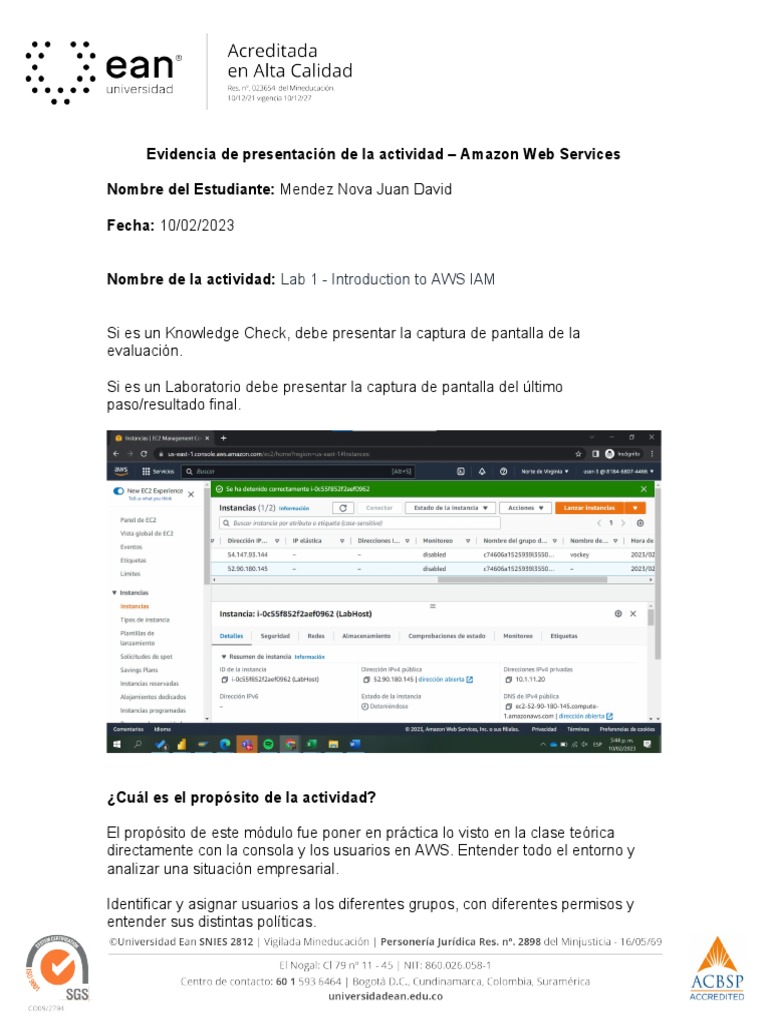 AWS Lab 1 - Introduction To AWS IAM | PDF