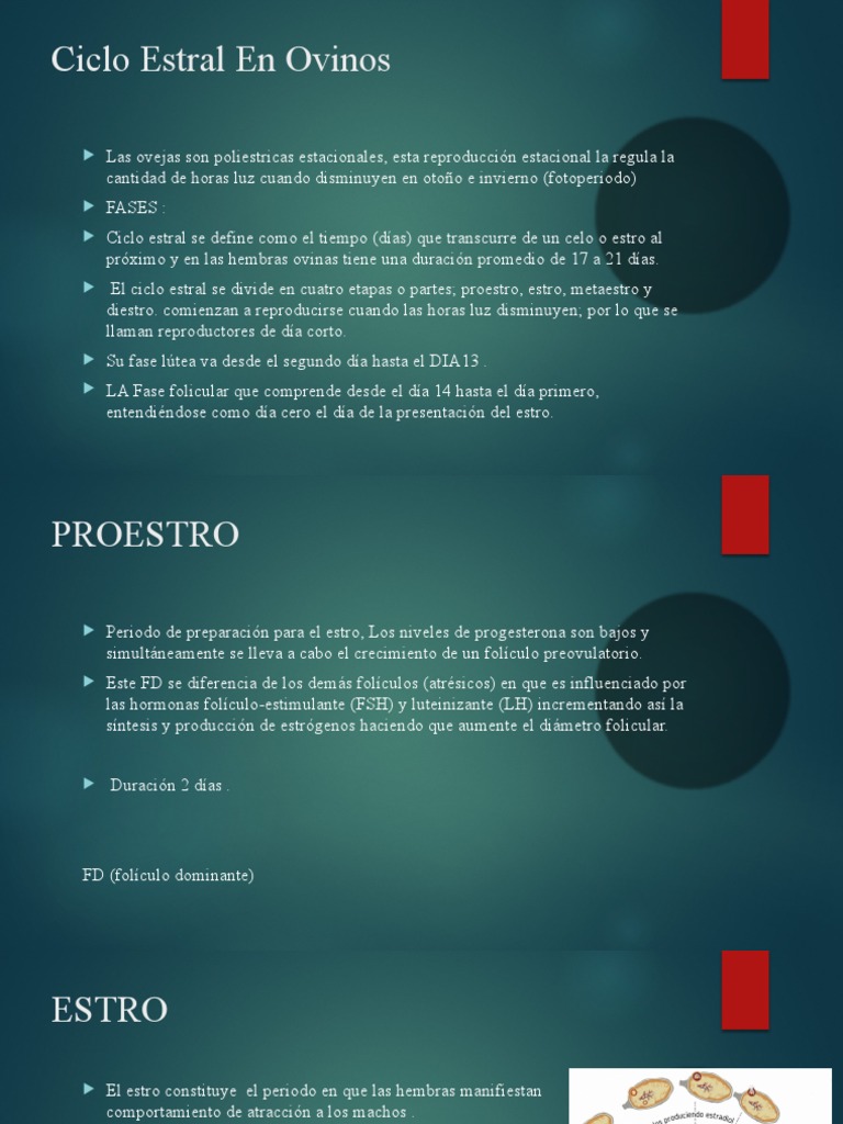 Ciclo Estral Expo | PDF | Ciencia y matemáticas