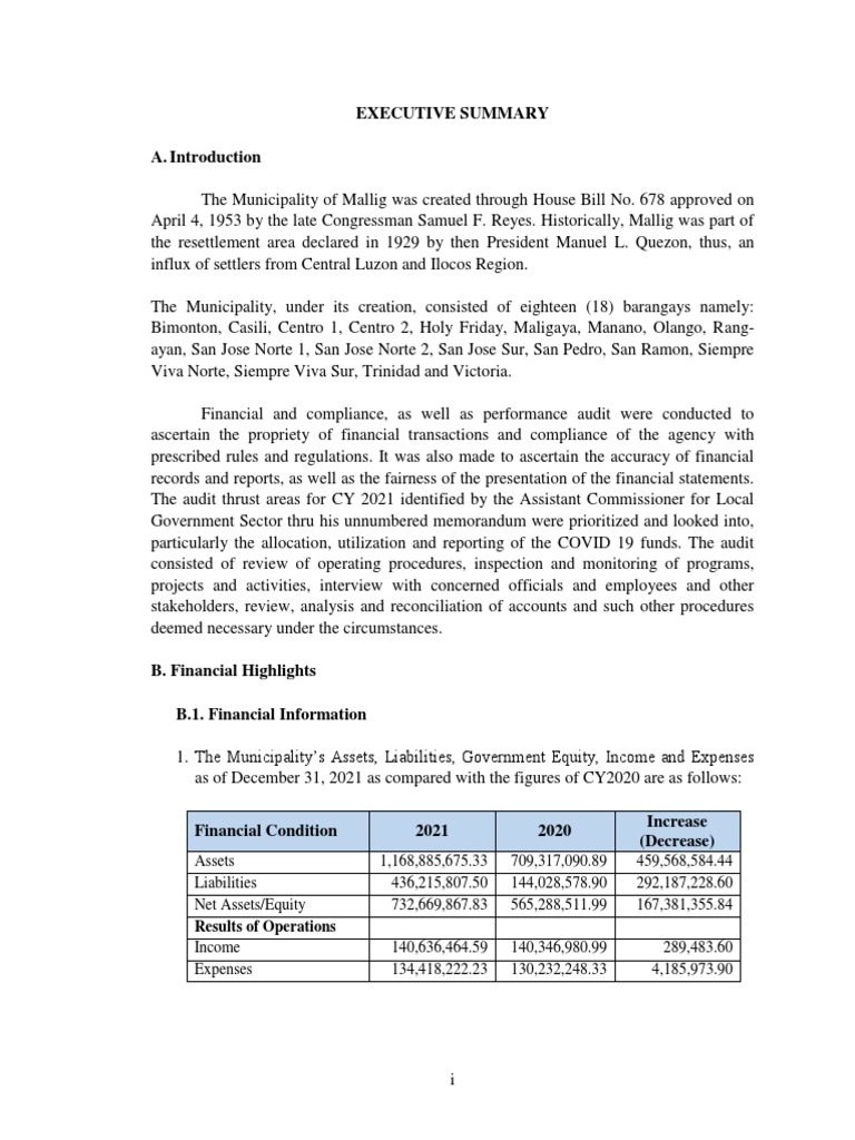 Mallig Executive Summary 2021 | PDF