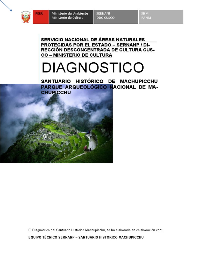 DIAGNÓSTICO FINAL SHM - PANM ACTUALIZACIÓN PLAN MAESTRO PG 110 y 216 | PDF