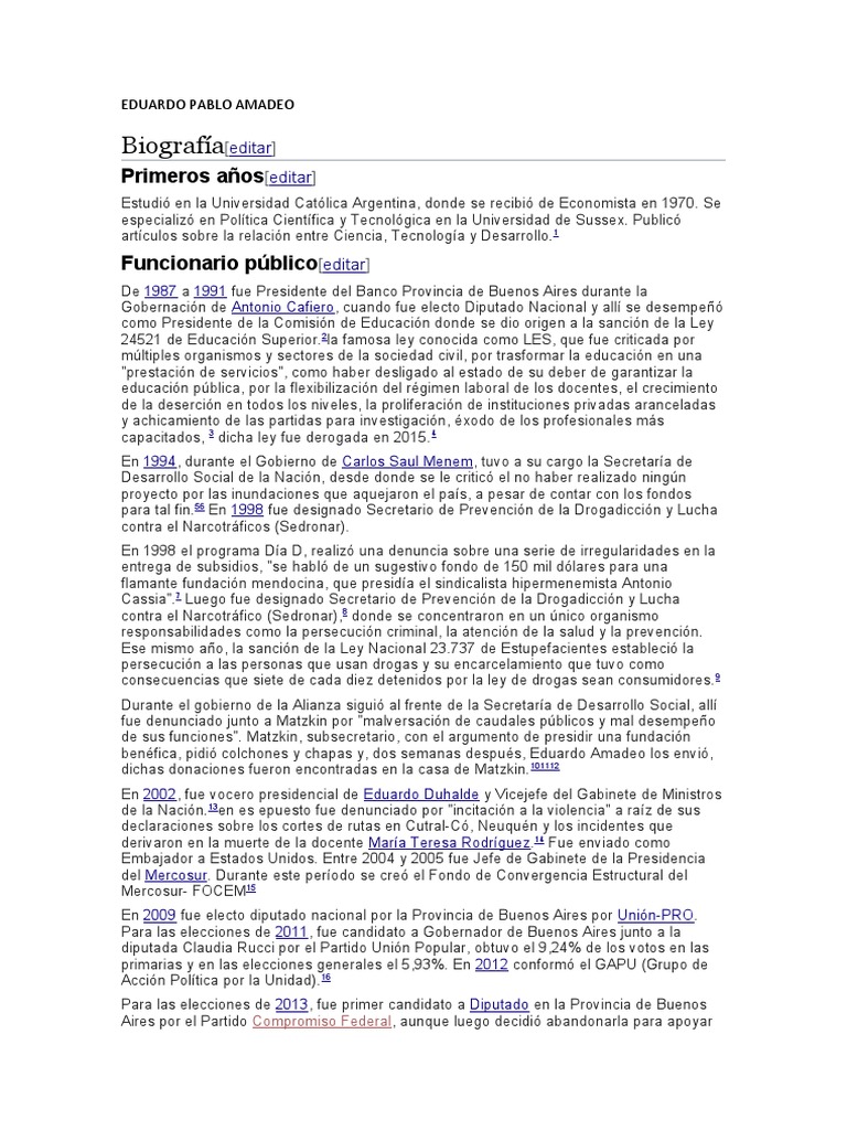 Investigacion Eduardo Pablo Amadeo | PDF