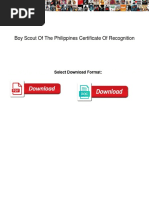 Boy Scouts Registration Form | PDF