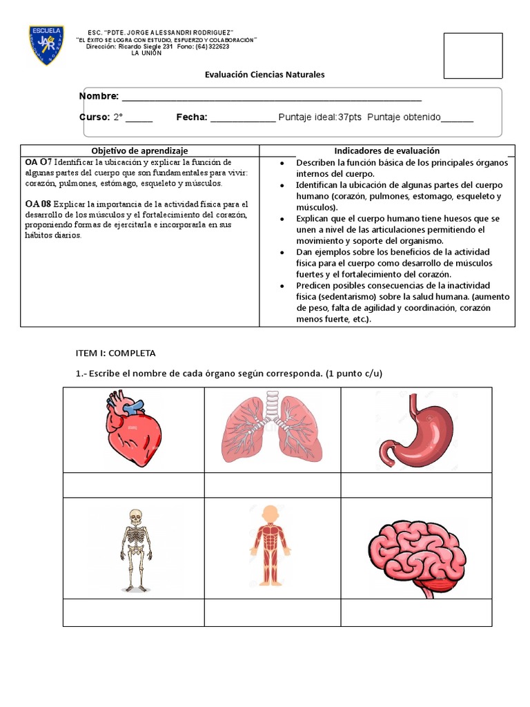 Evaluación de Órganos del Cuerpo Humano | PDF