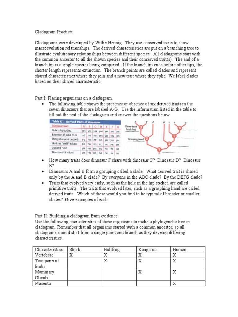 Cladogram Practice | PDF | Clade | Evolutionary Biology