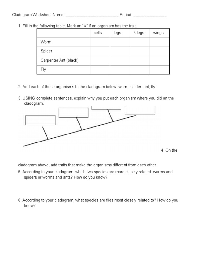 Cladogram Worksheet3 | PDF