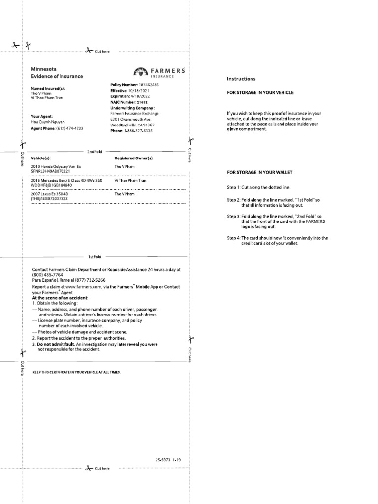 Vy Pham-Auto Id Card PDF | PDF