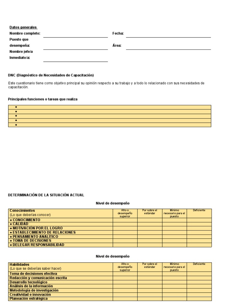 DNC-Formato (1).docx | PDF