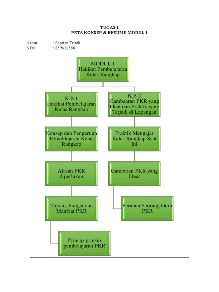 TUGAS 1 RESUME Dan PETA KONSEP | PDF TUGAS 1 RESUME Dan PETA KONSEP | PDF
