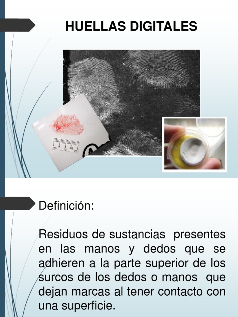 Clasificación de Huellas Dactilares | PDF | Estudios de idiomas extranjeros
