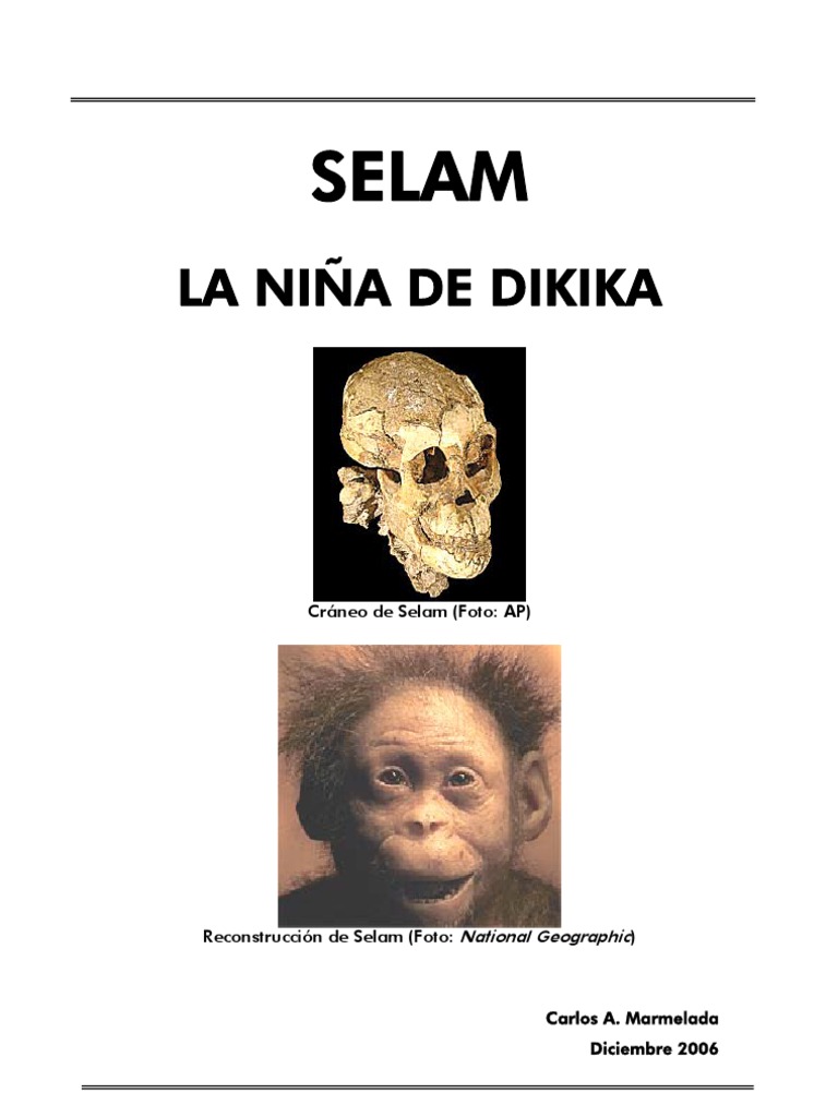 Descubrimiento de Selam: Australopithecus Infantil | PDF | Lucy ...