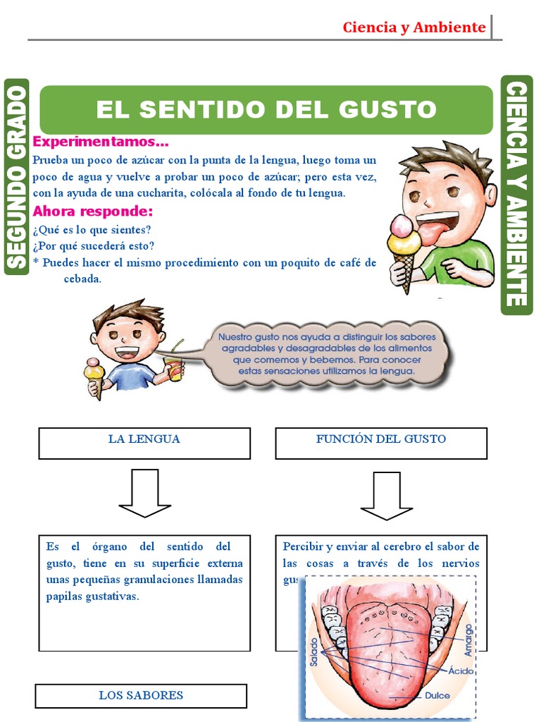 SEMANA 6 Sentido-del-Gusto-para-Segundo-Grado-de-Primaria | PDF