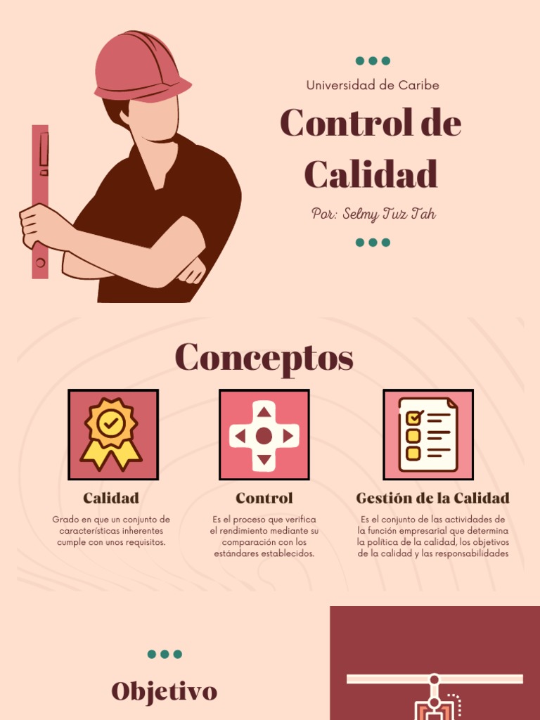 Concepto y Definición de Calidad | PDF