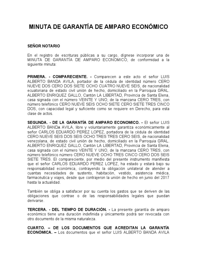 Minuta de Garantía Económica | PDF