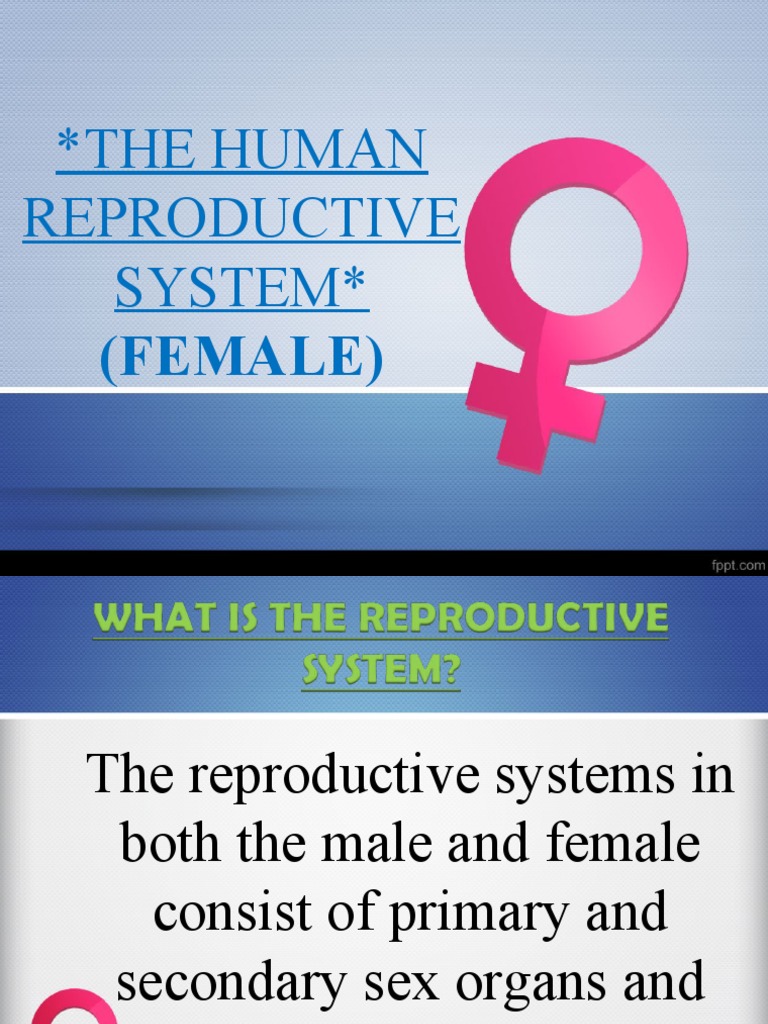 Overview of the Female Reproductive System | PDF | Wellness | Science ...