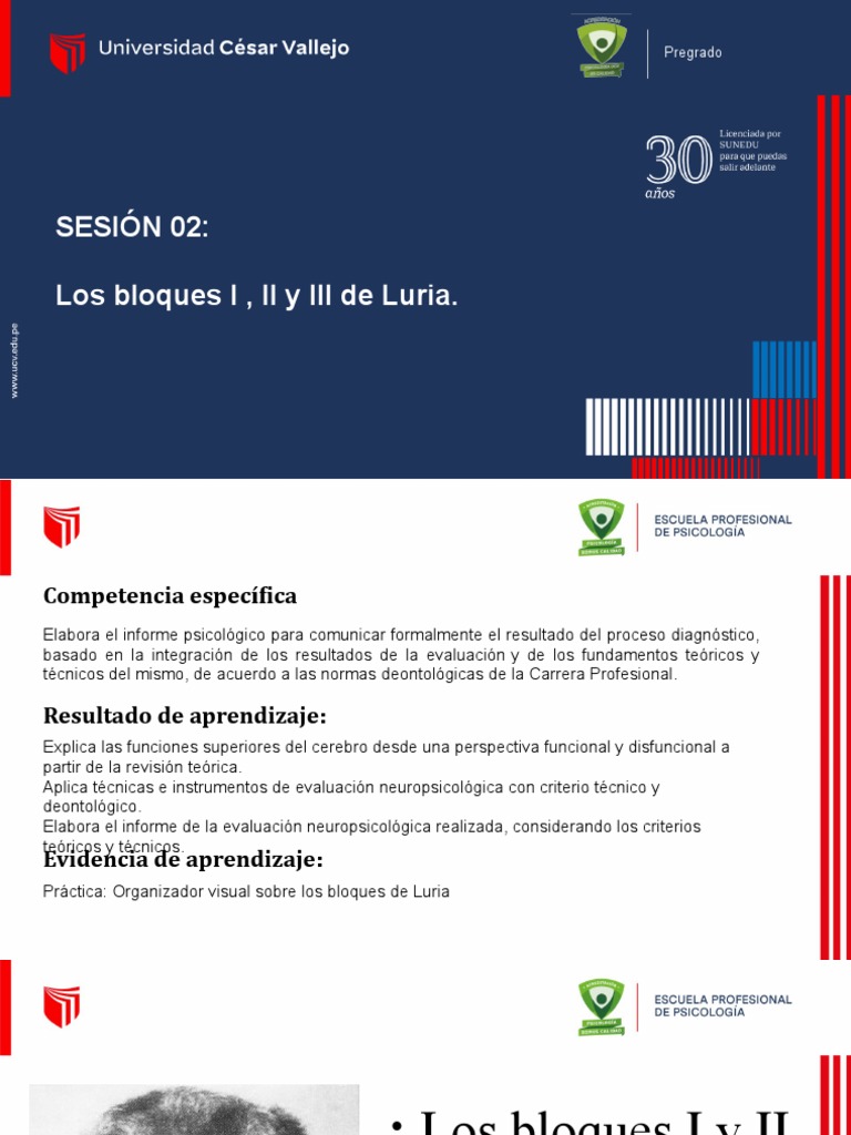 Sesión 2 - Los Bloques de Luria 1° 2023 | PDF | Cerebro | Neuropsicología