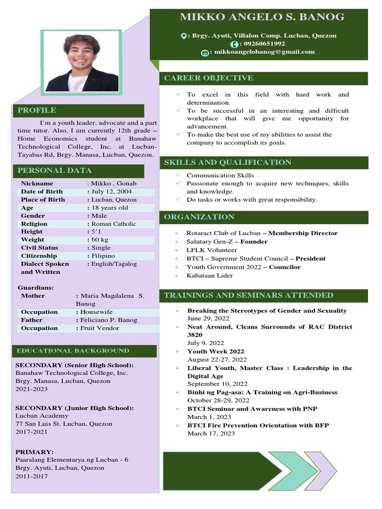 Mikko Angelo Resume PDF | PDF