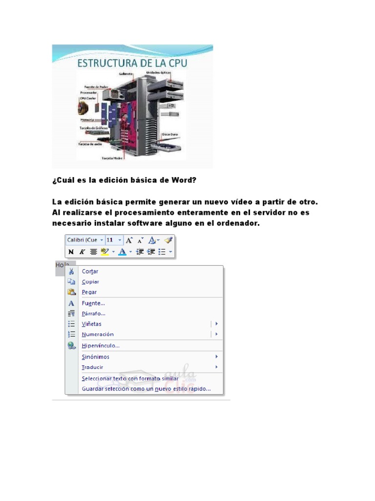 Cuál es la edición básica de Word | PDF