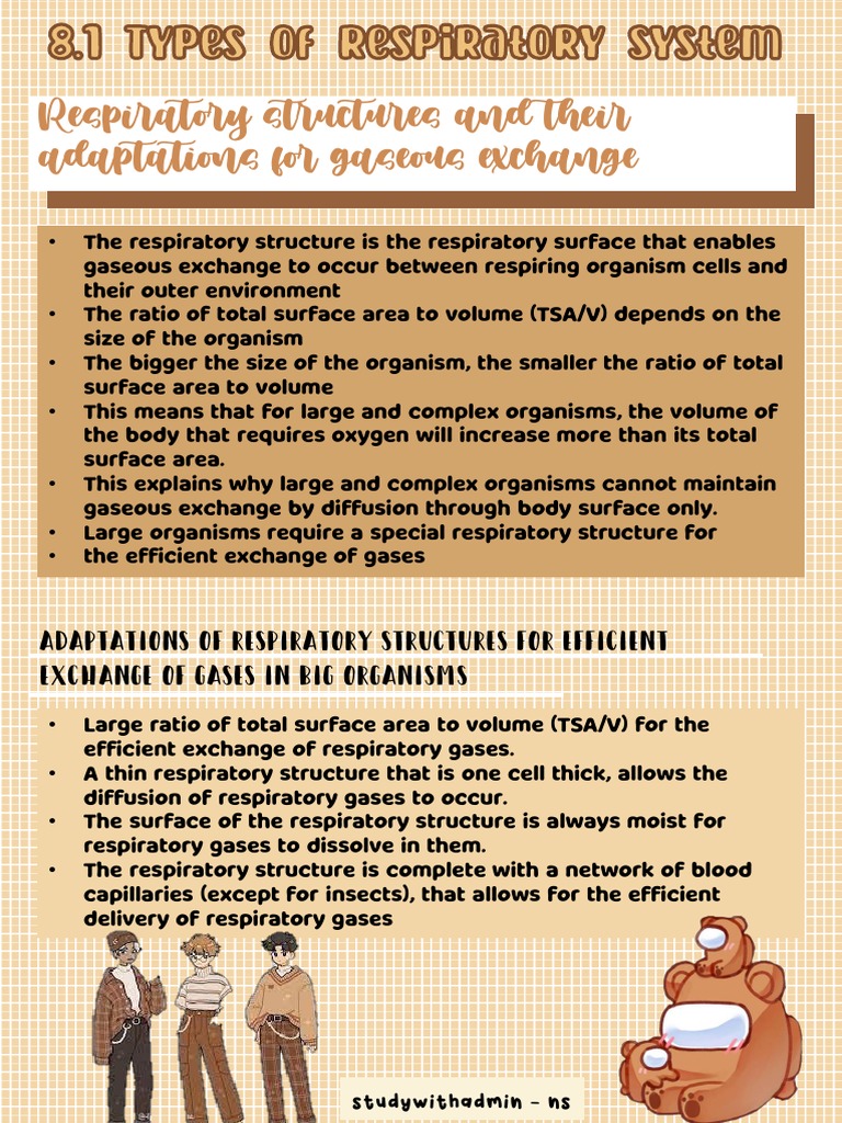 Bio CH8 F4 Studywithadmin PDF | Download Free PDF | Respiratory System | Breathing