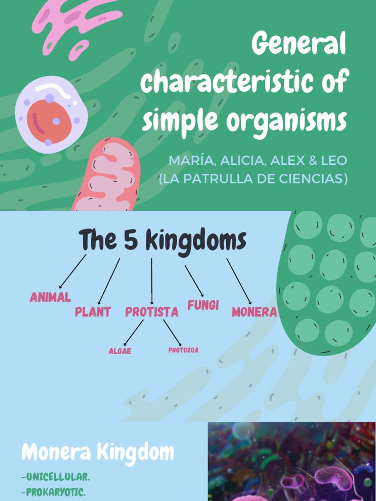 Simple Organisms: Algae and Fungi Overview | PDF | Science & Mathematics