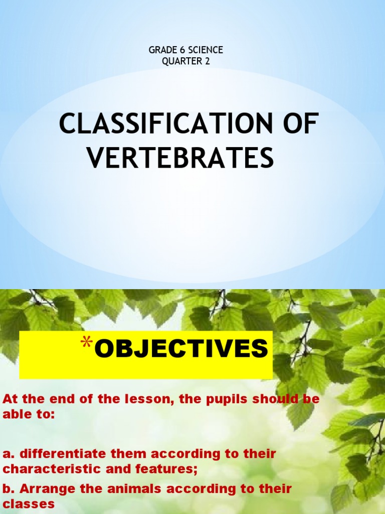 Vertebrate Classification for Grade 6 | PDF