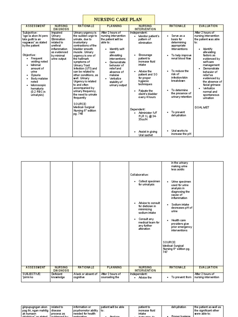 NCP Final | PDF | Urination | Urinary System