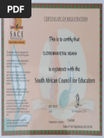 SAPS Affidavit 2 | PDF